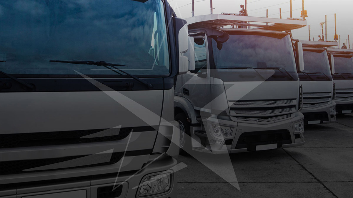 Contact Us | 3 Star Transportation